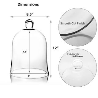 Large Glass Cloche Display Dome Cover Bell Jar | Glass Vases Depot