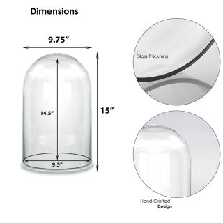 Large Glass Cloche Display Dome Black Wood Base | Glass Vases Depot