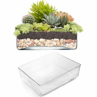 12" Rounded Rectangular Glass Vase | Glass Vases Depot