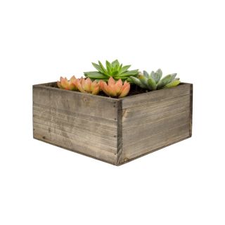 White Wood Cube Planter Box H-5" With Plastic Liner, Multiple Packing ...