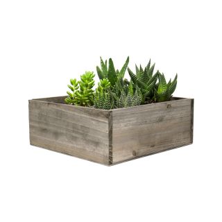 White Wood Cube Planter Box H-5" With Plastic Liner, Multiple Packing ...