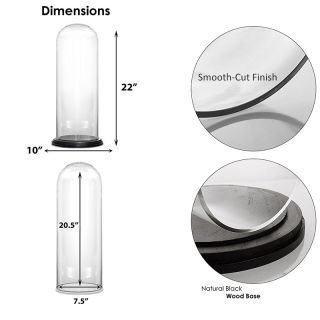 Large Glass Cloche Display Dome Black Wood Base | Glass Vases Depot