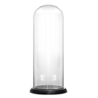 Large Glass Cloche Display Dome Black Wood Base | Glass Vases Depot