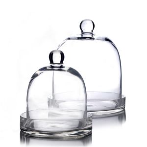Glass Cloches Dome with Glass Tray Tabletop Terrarium | Glass Vases Depot