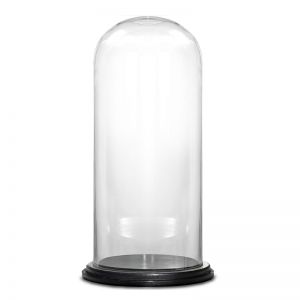 Large Glass Cloche Display Dome Black Wood Base | Glass Vases Depot