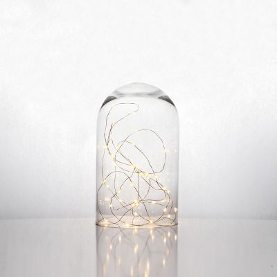 Glass Cloches and Glass Domes for Windows or Terrarium Display | Glass ...