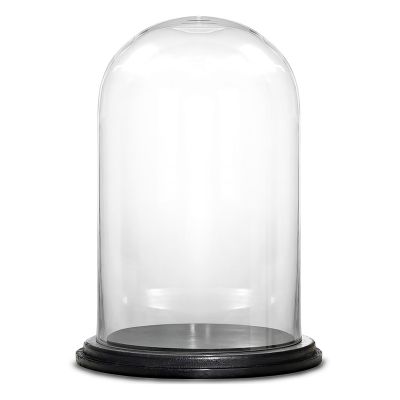 Glass Cloches and Glass Domes for Windows or Terrarium Display | Glass ...